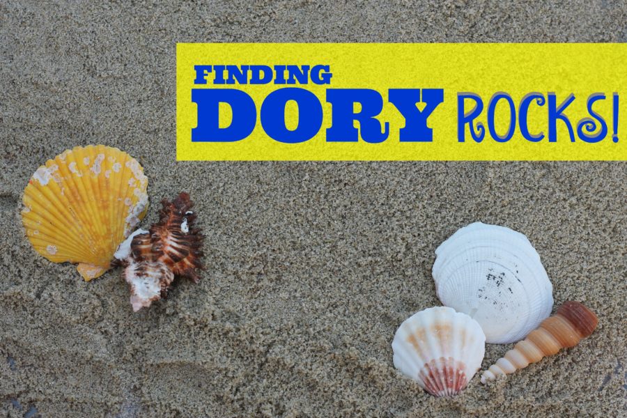 Finding Dory Rocks | Clementine County