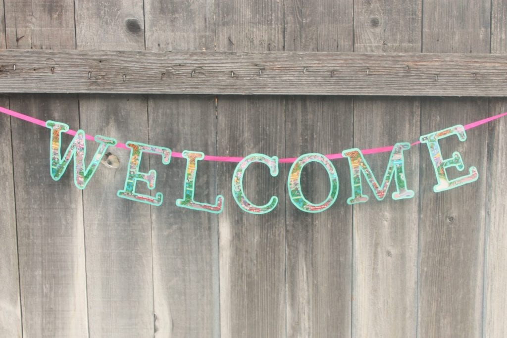 Disney Maps Banner | Clementine County