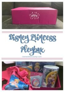 Disney Princess Pleybox | Clementine County