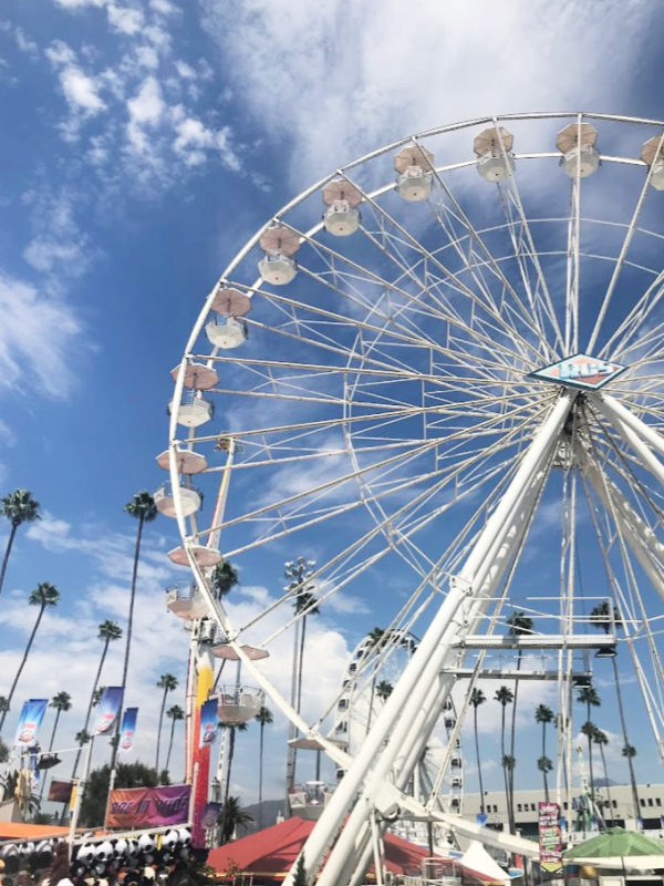 Ferris Wheel LA County Fair | Clementine County